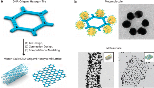 Programming Self-Assembly of DNA Origami Honeycomb Two-Dimensional Lattices and Plasmonic ...