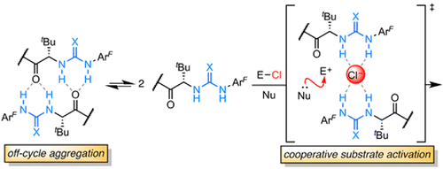 On- and Off-Cycle Catalyst Cooperativity in Anion-Binding Catalysis,Journal of the American ...