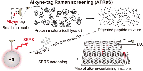 Alkyne-Tag SERS Screening and Identification of Small-Molecule-Binding ...