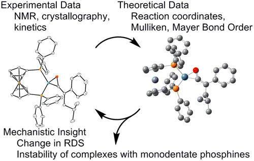 Synergy between Experimental and Computational Chemistry Reveals the ...