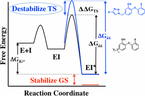评估过渡态不稳定对三唑类 InhA 抑制剂停留时间变化的贡献,Journal of the American Chemical Society ...