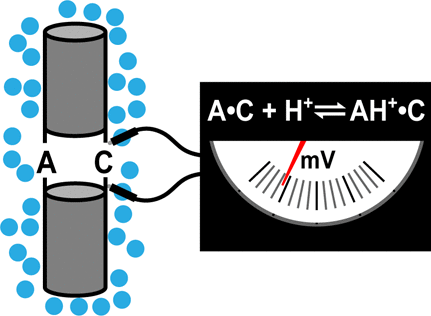 Determination of Ion Atmosphere Effects on the Nucleic Acid ...