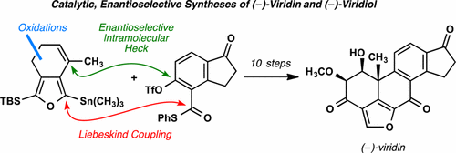 Enantioselective Chemical Syntheses of the Furanosteroids (−)-Viridin ...