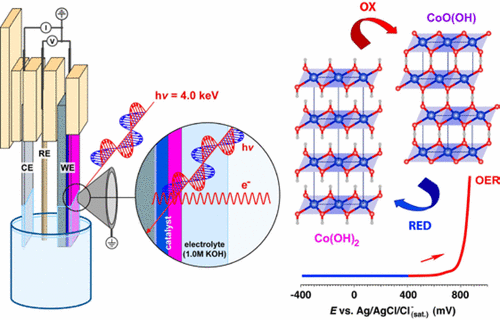 Understanding the Oxygen Evolution Reaction Mechanism on CoOx using ...