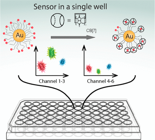 Cancer Cell Discrimination Using Host–Guest “Doubled” Arrays,Journal of ...