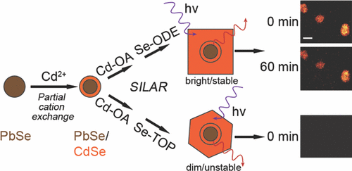 Giant PbSe/CdSe/CdSe Quantum Dots: Crystal-Structure-Defined ...