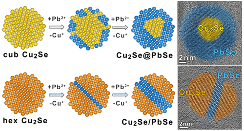 晶体结构在涉及胶体 Cu2Se 纳米晶体的阳离子交换反应中的作用,Journal of the American Chemical ...