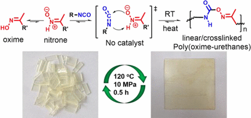 Oxime-Based and Catalyst-Free Dynamic Covalent Polyurethanes,Journal of ...