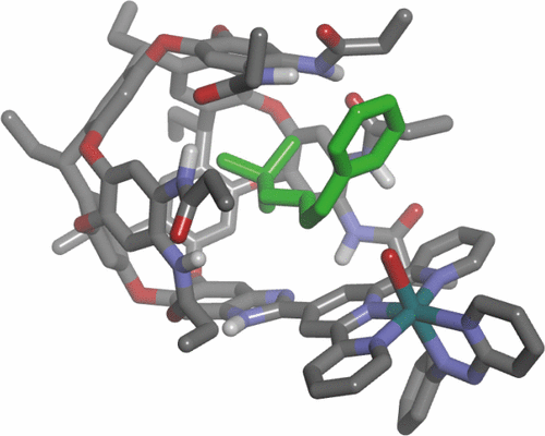 Attachment of a RuII complex to a self-folding hexaamide deep cavitand ...