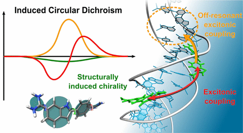 Origin of DNA-Induced Circular Dichroism in a Minor-Groove Binder ...