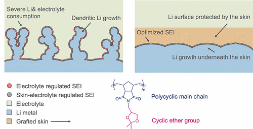 Interfacial Chemistry Regulation via a Skin-Grafting Strategy Enables ...