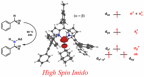 High-Spin Iron Imido Complexes Competent for C–H Bond Amination,Journal ...