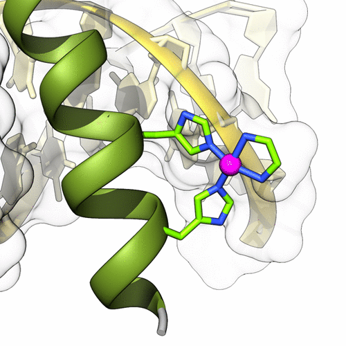 Metal-Dependent DNA Recognition and Cell Internalization of Designed ...