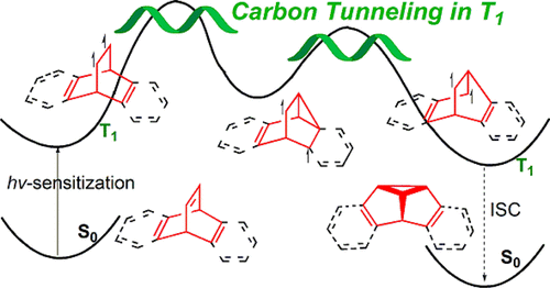 Computational Prediction of Excited-State Carbon Tunneling in the Two ...