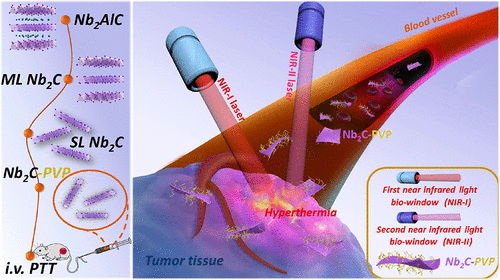 用于光热肿瘤根除 NIR-I 和 NIR-II 生物窗的二维可生物降解碳化铌 (MXene),Journal of the American Chemical Society - X-MOL