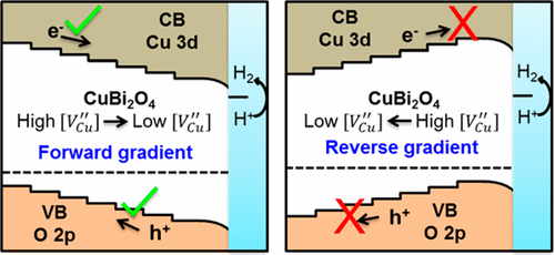 Gradient Self-Doped CuBi2O4 with Highly Improved Charge Separation ...
