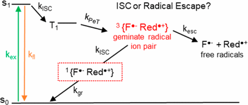 Redox–Based Photostabilizing Agents in Fluorescence Imaging; the Hidden ...