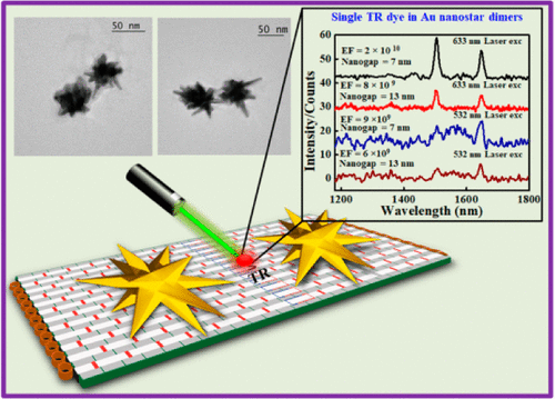 DNA origami directed Au nanostar dimers for single molecule surface ...