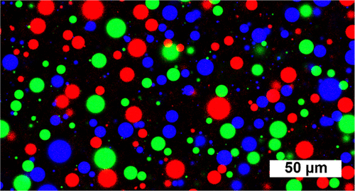 Hierarchical self-assembly of a copolymer-stabilized coacervate ...