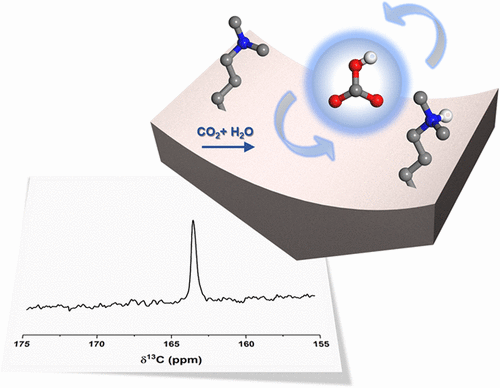 The “Missing” Bicarbonate in CO2 Chemisorption Reactions on Solid Amine ...