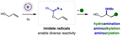 Catalytic Alkene Difunctionalization via Imidate Radicals,Journal of ...