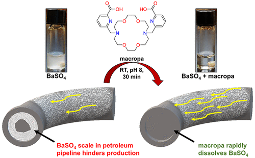 Macropa 快速溶解 BaSO4，这是一种对 Ba2+ 具有高亲和力的 18 元大环化合物,Journal of the American ...