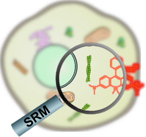 Small-Molecule Fluorescent Probes for Live-Cell Super-Resolution ...