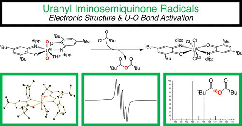 Uranyl Functionalization Mediated by Redox-Active Ligands: Generation ...
