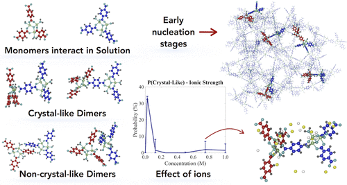 Molecular Level Understanding of the Free Energy Landscape in Early ...