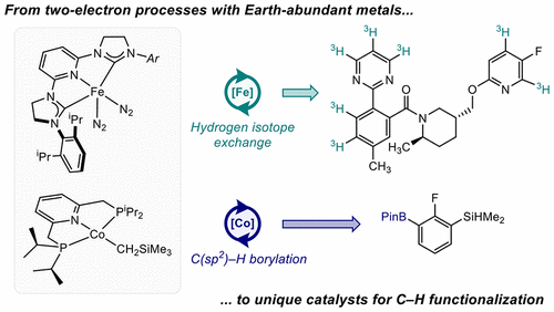 Enabling Two-Electron Pathways with Iron and Cobalt: From Ligand Design ...