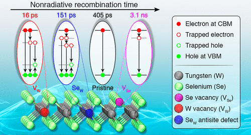 Defect-Mediated Charge-Carrier Trapping and Nonradiative Recombination in WSe2 Monolayers ...