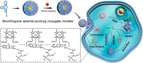 Molecular Self-Assembly of Bioorthogonal Aptamer-Prodrug Conjugate ...