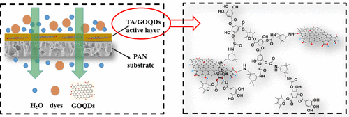 Graphene Oxide Quantum Dots Incorporated into a Thin Film Nanocomposite ...