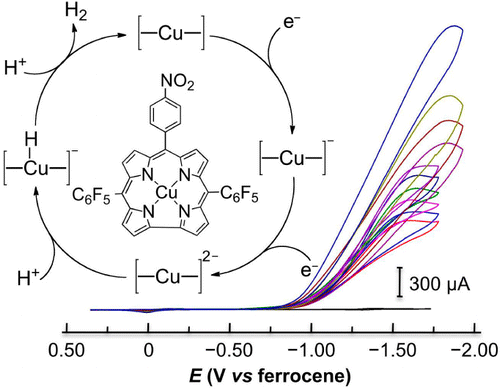 Reactivity and Mechanism Studies of Hydrogen Evolution Catalyzed by ...