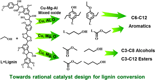 Role of Cu–Mg–Al Mixed Oxide Catalysts in Lignin Depolymerization in ...