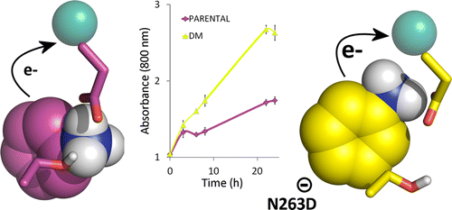 Computer-Aided Laccase Engineering: Toward Biological Oxidation of ...