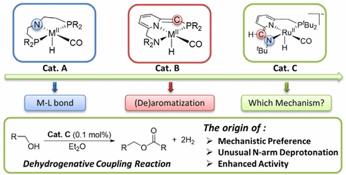 When Bifunctional Catalyst Encounters Dual MLC Modes: DFT Study on the ...