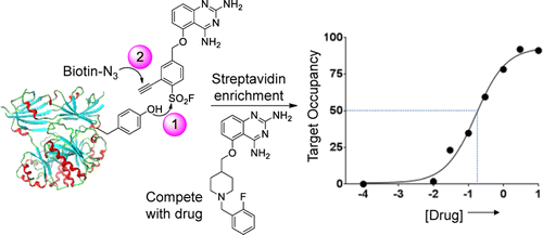 Rational Targeting of Active-Site Tyrosine Residues Using Sulfonyl ...