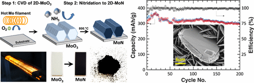 Facile Synthesis of Large Area Two-Dimensional Layers of Transition ...
