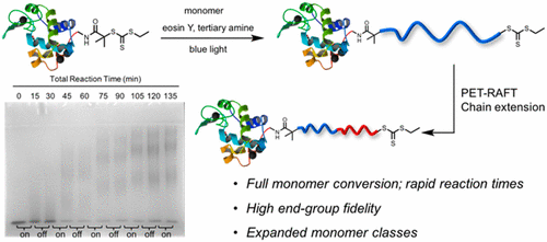 Grafting-From Proteins Using Metal-Free PET–RAFT Polymerizations under ...
