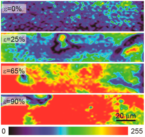 Preformed Nanoporous Carbon Nanotube Scaffold-Based Multifunctional ...