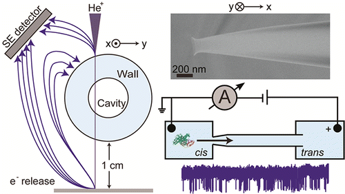 Helium Scanning Transmission Ion Microscopy and Electrical ...