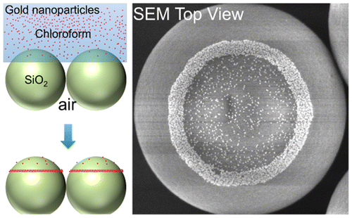 Self-Organizing Arrays of Size Scalable Nanoparticle Rings,ACS Nano - X-MOL