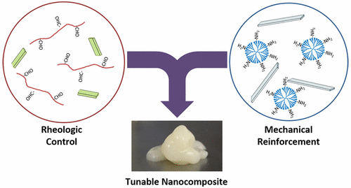 Hydrogel Nanocomposites with Independently Tunable Rheology and ...