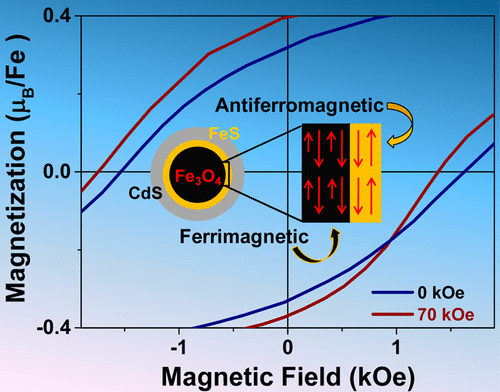 Magnetism at the Interface of Magnetic Oxide and Nonmagnetic ...