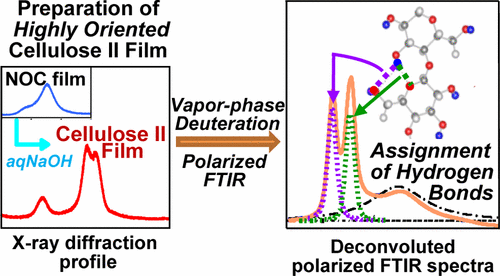 Characterization of Individual Hydrogen Bonds in Crystalline ...