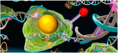 使用分子探针和纳米粒子的循环诊断生物标志物的荧光传感,ACS Sensors - X-MOL