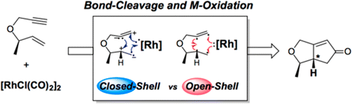 Mechanism of Rh-Catalyzed Oxidative Cyclizations: Closed versus Open ...