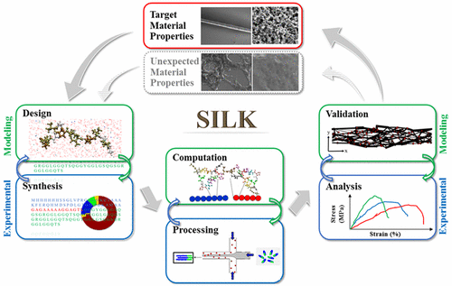 Synergistic Integration of Experimental and Simulation Approaches for ...