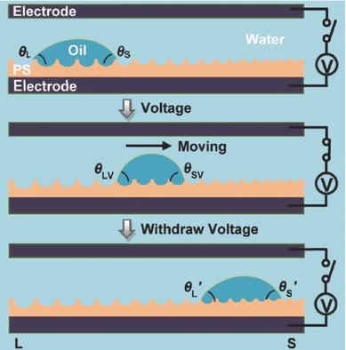 Electric Field and Gradient Microstructure for Cooperative Driving of ...